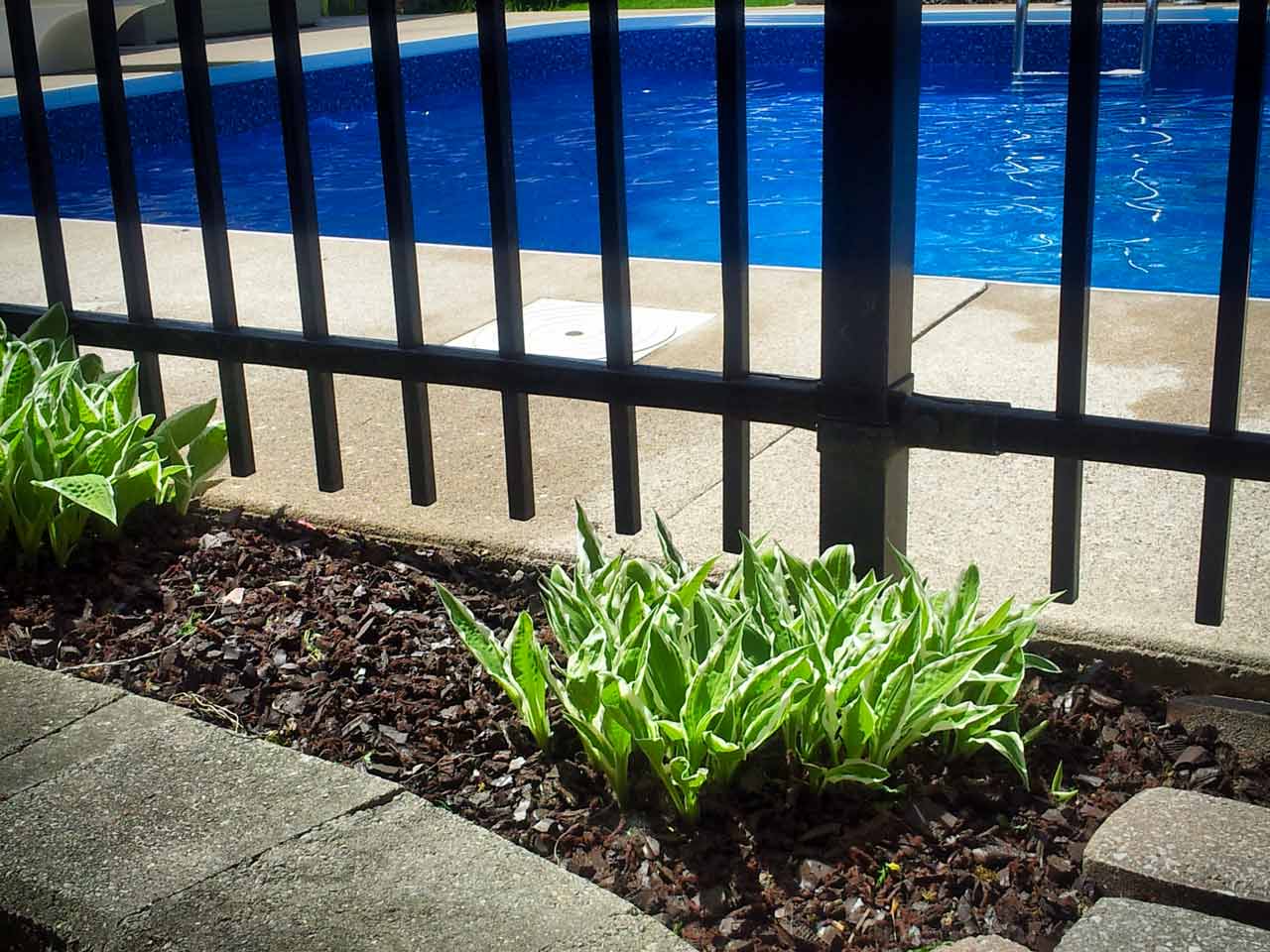 Black Rubber Mulch Supplier For Landscaping
